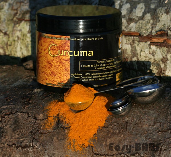 Curcuma | Easy BARF